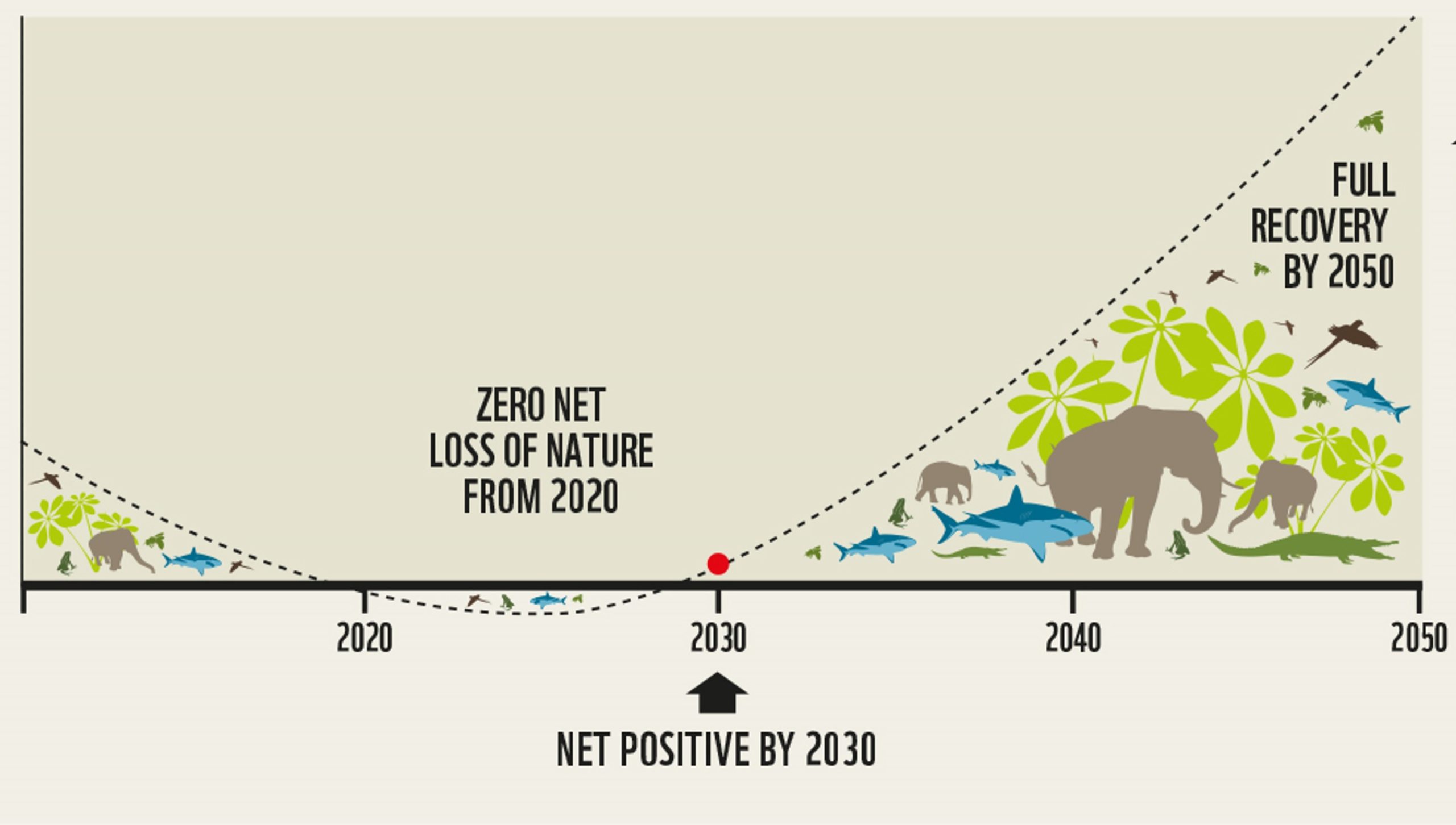Defending the Mitigation Hierarchy in the Nature Positive Era - IAIA ... Defending the Mitigation Hierarchy in the Nature Positive Era - IAIA ...